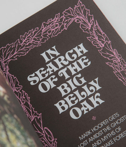 Weird Walk Zine - Issue Two | Always in Colour